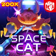 Space Cat